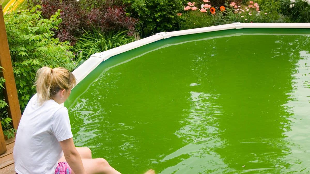Man's neighbours angry about his green swimming pool